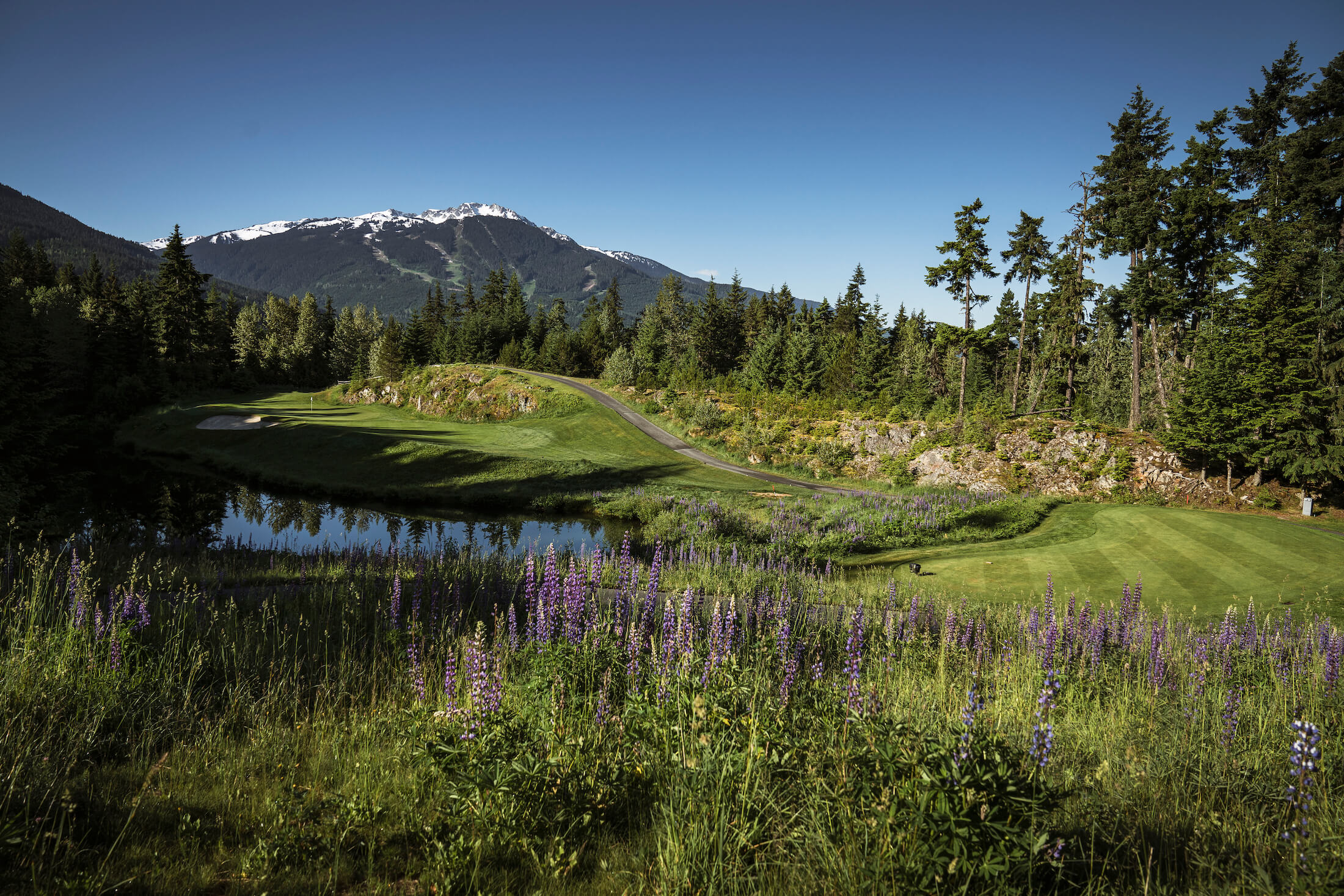 Best Golf Course in Whistler - Fairmont Chateau Whistler